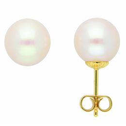 Adelia&acute;s ADELIA ́S Damen Paar Ohrh&auml;nger "Damen 585 Gold Ohrringe Ohrstecker mit S&uuml;&szlig;wasser Zuchtperle", Damen, Gelbgold 585 Gold, gold, Gelbgold 585, Gold,