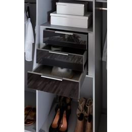 Schubladeneinsatz wimex, B:48cm H:51cm T:50cm, grau, Glas, Spanplatte, Schubladeneins&auml;tze, "Fresh to go by fresh to go", als Erg&auml;nzung f&uuml;r alle