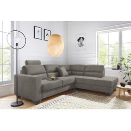Ecksofa Trendmanufaktur, B:245cm H:85cm T:203cm, braun, Wohnzimmer, Sofas, "Chamber, zeitlos & elegant, bequem, L-Form", inklusive einer Kopfstütze,