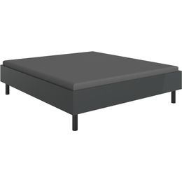 Bett wimex, H:46cm L:210cm, grau, Betten, "Easy, gro&szlig;e Auswahl an Gr&ouml;&szlig;en und Farben, auch in Komforth&ouml;he", ohne Kopfteil, ideal unter Dachschr&auml;gen