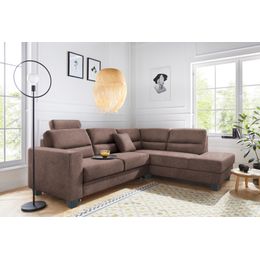 Ecksofa Trendmanufaktur, B:245cm H:85cm T:203cm, braun, Wohnzimmer, Sofas, "Chamber, zeitlos & elegant, bequem, L-Form", inklusive einer Kopfstütze,