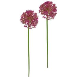 Kunstblume I.GE.A., B:13cm H:80cm L:13cm, lila, Kunststoff, Balkon, Kunstpflanzen, "Allium Zierlauch", Stielblume künstliche Blumen, 2er Set