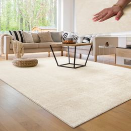 Teppich Paco Home, B:120cm H:14mm L:170cm, beige, Polyester, Wohnzimmer, Teppiche, "Cadiz 630", Uni-Farben, besonders weich, waschbar, auch als