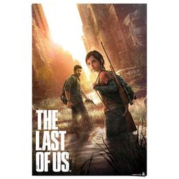 Poster Reinders, B:61cm H:91,5cm T:0,1cm, braun, Papier, Kinderzimmer, Bilder, "Playstation - the last of us"