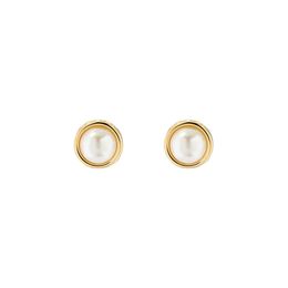 Ted Baker Earrings 'SINAA' female Gold size One Size