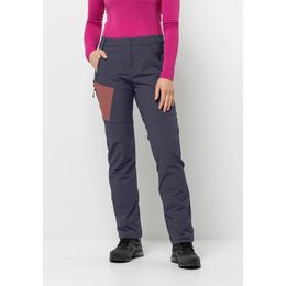 Jack Wolfskin Damen Trekkinghose "GLASTAL WINTER PANTS W", grau, Gr. 40, OBERSTOFF 91% POLYAMID, 9% ELASTHAN LINING 100% POLYESTER, Hosen