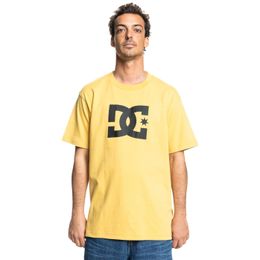 DC Shoes Herren T-Shirt "DC Star", beige, Gr. M, 75% Baumwolle, 25% Baumwolle, Shirts