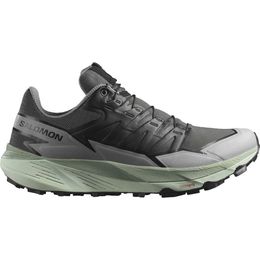 Salomon Herren Thundercross grau 47.3
