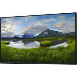 Dell P2725H without stand (1920 x 1080 Pixel, 27"), Monitor, Schwarz