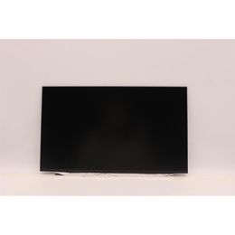 Lenovo Thor DISPLAY 15.6" HD TN 220nit 45%CG non-brac, Notebook Ersatzteile