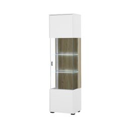 IMV Vitrine HUDSON