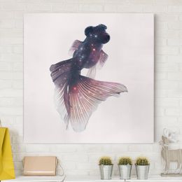 Bilderwelten Leinwandbild Fisch mit Galaxie