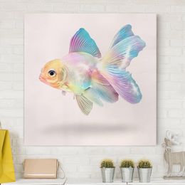 Bilderwelten Leinwandbild Fisch in Pastell