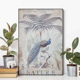 Wechselbild Shabby Chic Collage - Pfau