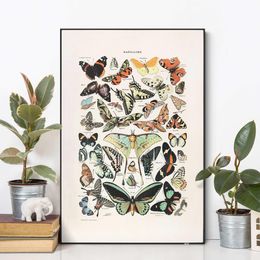 Wechselbild Vintage Lehrtafel Schmetterlinge und Falter
