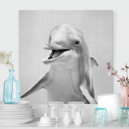 Leinwandbild Delfin Diddi Schwarz Wei&szlig;