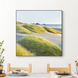 Wechselbild D&uuml;nen und Gr&auml;ser am Meer