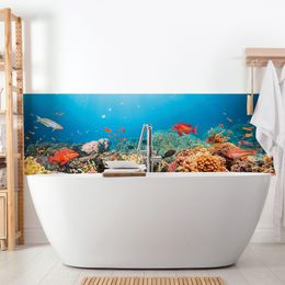 Wandverkleidung Bad Bunte Unterwasserwelt