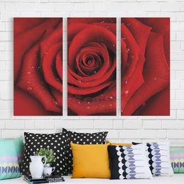 Bilderwelten 3-teiliges Leinwandbild - Querformat Rote Rose mit Wassertropfen