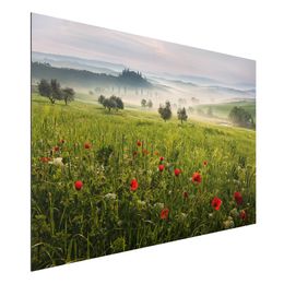 Bilderwelten Alu-Dibond Outdoor Bild Toskana Fr&uuml;hling