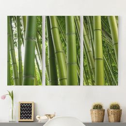 Bilderwelten 3-teiliges Leinwandbild - Querformat Bamboo Trees