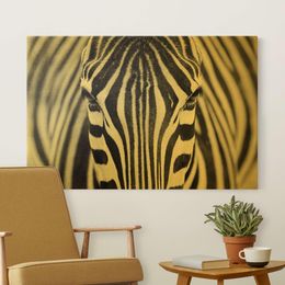 Bilderwelten Leinwandbild - Querformat Zebra Look