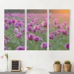 Bilderwelten 3-teiliges Leinwandbild - Querformat Violette Schlafmohn Blumenwiese im Fr&uuml;hling