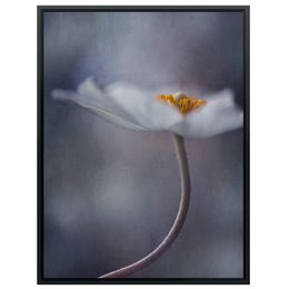 Bilderwelten Leinwandbild - Hochformat Wei&szlig;e Anemonenbl&uuml;te