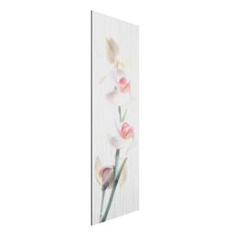 Bilderwelten Alu Dibond Outdoor Bild Blumen einzigartig modern wetterfest - Zerbrechliche Orchidee - Deko Wohnzimmer Schlafzimmer