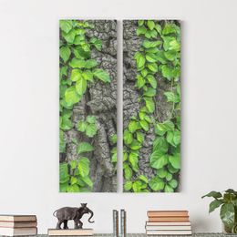 Bilderwelten 2-teiliges Leinwandbild - Hochformat Efeuranken Baumrinde