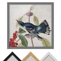 Bilderwelten Bild mit Rahmen - Quadrat Vogel auf Leinen Rosa II