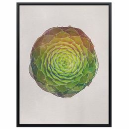 Bilderwelten Leinwandbild - Hochformat Wasserfarben - Mandala Sukkulente