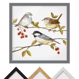 Bilderwelten Bild mit Rahmen - Quadrat V&ouml;gel und Beeren - Meisen