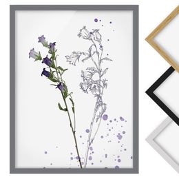 Bilderwelten Bild mit Rahmen - Hochformat Botanisches Aquarell - Glockenblume
