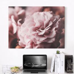 Bilderwelten Leinwandbild - Querformat Shabby Rosa Rose Pastell