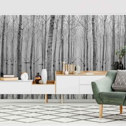 Bilderwelten Fototapete Wald Motiv Wandtapete schwarz weiss - Birken im November - B&auml;ume Wohnzimmer Schlafzimmer