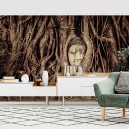 Bilderwelten Fototapete Wald Vintage Wandtapete braun - Buddha in Ayutthaya von Baumwurzeln ges&auml;umt in Braun - B&auml;ume Wohnzimmer Schlafzimmer