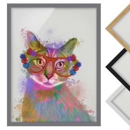 Bilderwelten Bild mit Rahmen - Hochformat Regenbogen Splash Katze