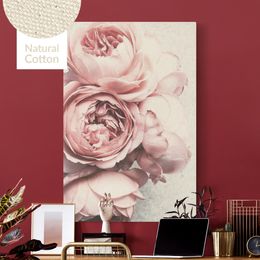 Bilderwelten Leinwandbild - Hochformat Rosa Pfingstrosenbl&uuml;ten Shabby Pastell