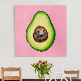 Bilderwelten Leinwandbild Tiere modern Kunstdruck rosa - Avocado mit Igel - Obst XXL K&uuml;che