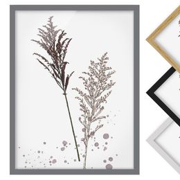 Bilderwelten Bild mit Rahmen - Hochformat Botanisches Aquarell - Schwingelschilf