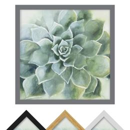 Bilderwelten Bild mit Rahmen - Quadrat Sukkulente Aquarell Dunkel