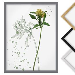 Bilderwelten Bild mit Rahmen - Hochformat Botanisches Aquarell - Lilie