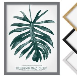 Bilderwelten Bild mit Rahmen - Hochformat Smaragdgr&uuml;ner Philodendron Angustisectum