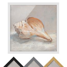 Bilderwelten Bild mit Rahmen originell beige maritim inkl. Rahmung - Muschel-Studie III - Deko Wohnzimmer Schlafzimmer