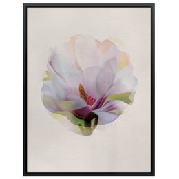 Bilderwelten Leinwandbild - Hochformat Wasserfarben - Zarte Magnolienbl&uuml;te