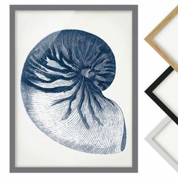 Bilderwelten Bild mit Rahmen - Hochformat Strandgut in Navy V
