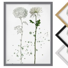 Bilderwelten Bild mit Rahmen - Hochformat Botanisches Aquarell - L&ouml;wenzahn