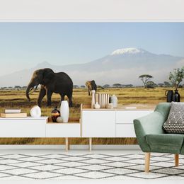 Bilderwelten Fototapete Natur Motiv Wandtapete einzigartig - Elefanten vor dem Kilimanjaro in Kenya - africa Wohnzimmer Schlafzimmer