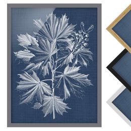Bilderwelten Bild mit Rahmen - Hochformat Denim Pflanzenstudie V
